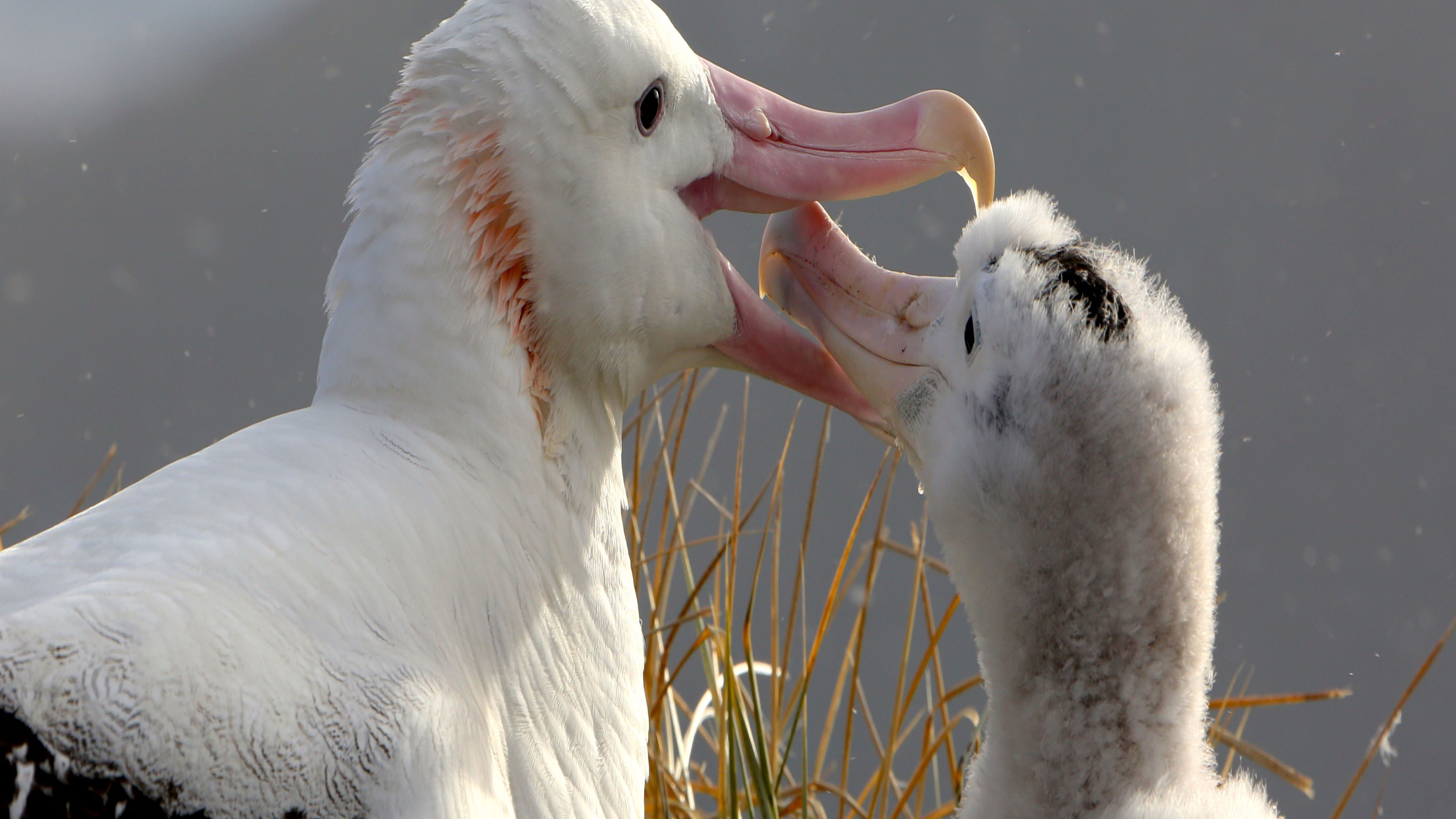 Our Planet | Line Caught