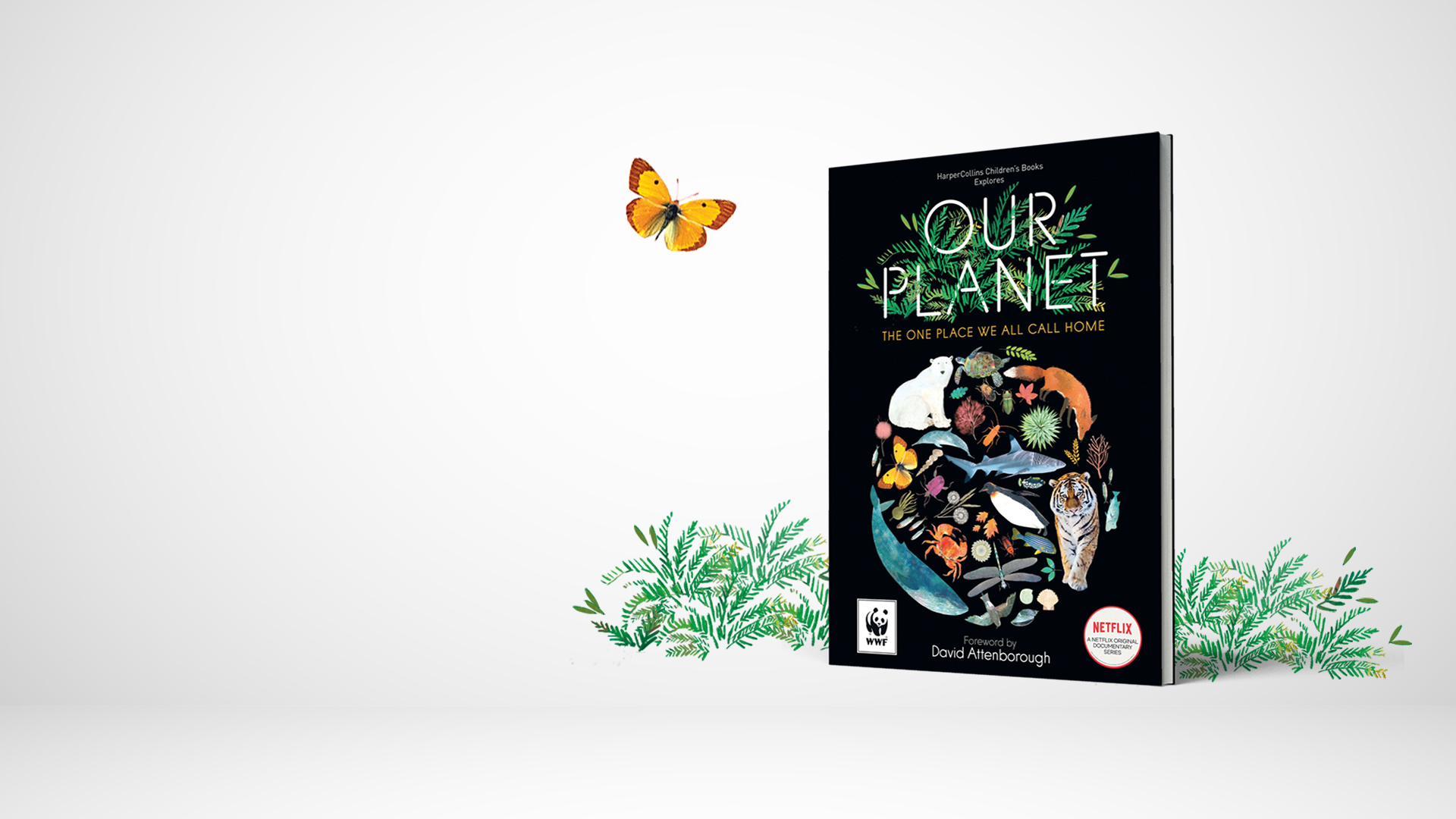 Our Planet | The official children's book of the series - out now