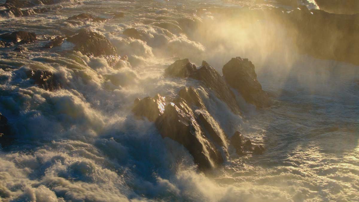 Our Planet How To Save Fresh Water Flow